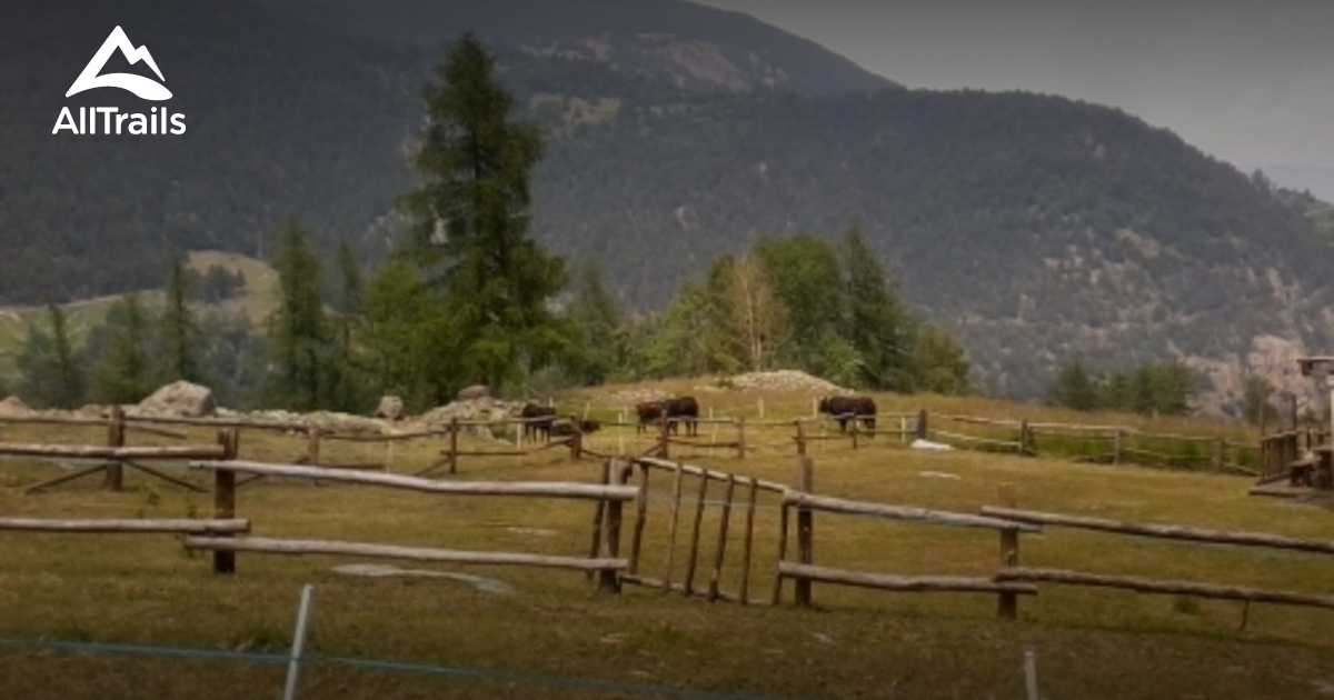 Best hikes and trails in Challand-Saint-Victor | AllTrails