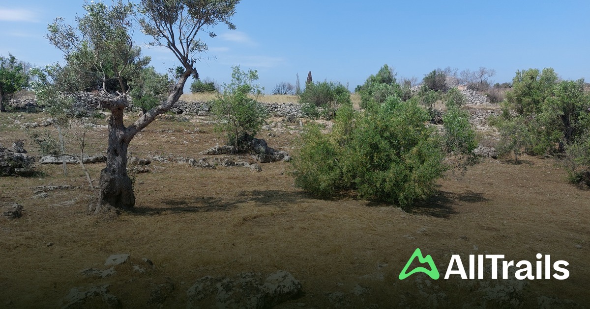Best hikes and trails in Alliste | AllTrails