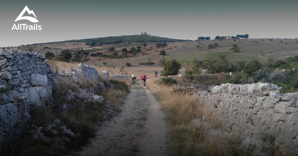 2023 Best Forest Trails in Corato | AllTrails