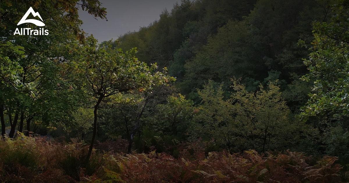 Best hikes and trails in Baronissi | AllTrails