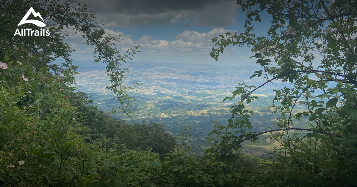 Best forest trails in Bonea | AllTrails