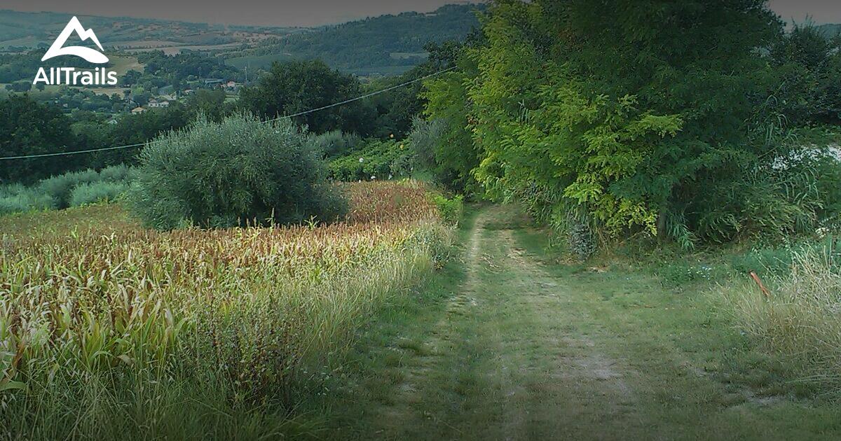 Best hikes and trails in Misano Adriatico | AllTrails