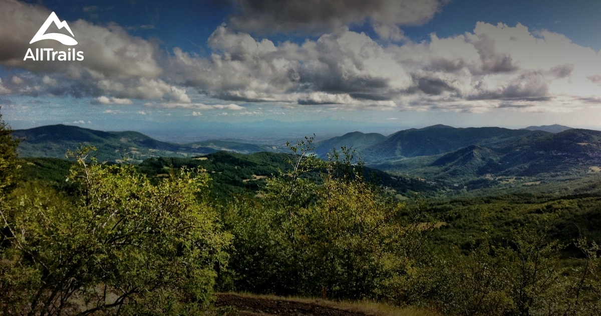 Best hikes and trails in Morfasso | AllTrails