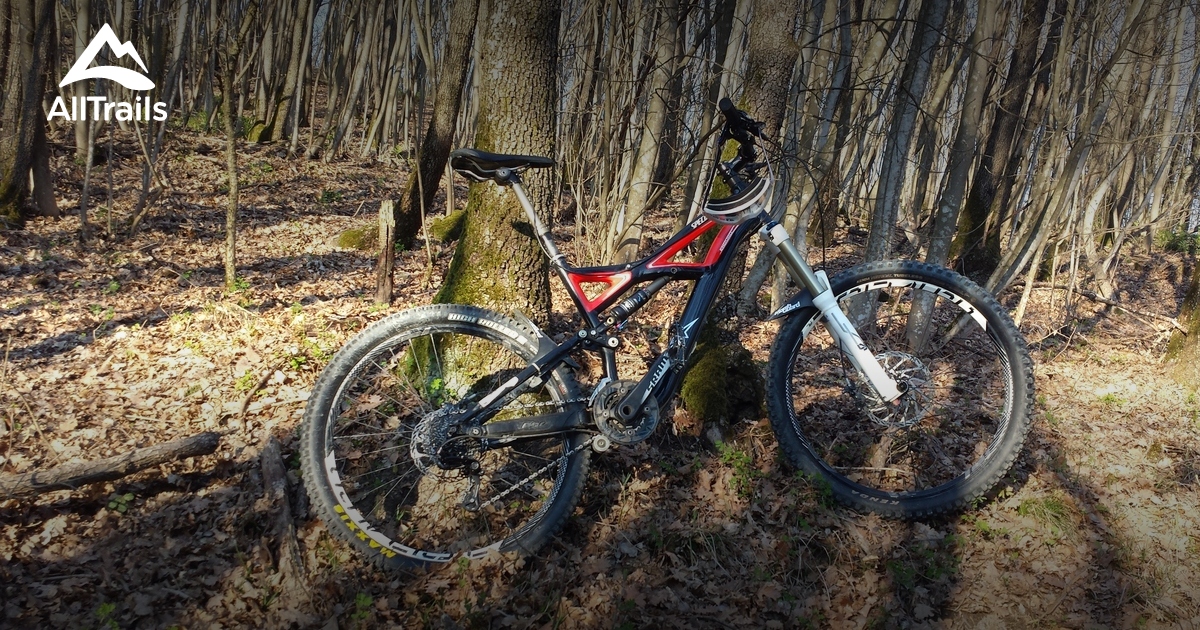 Best long trails in Quattro Castella | AllTrails