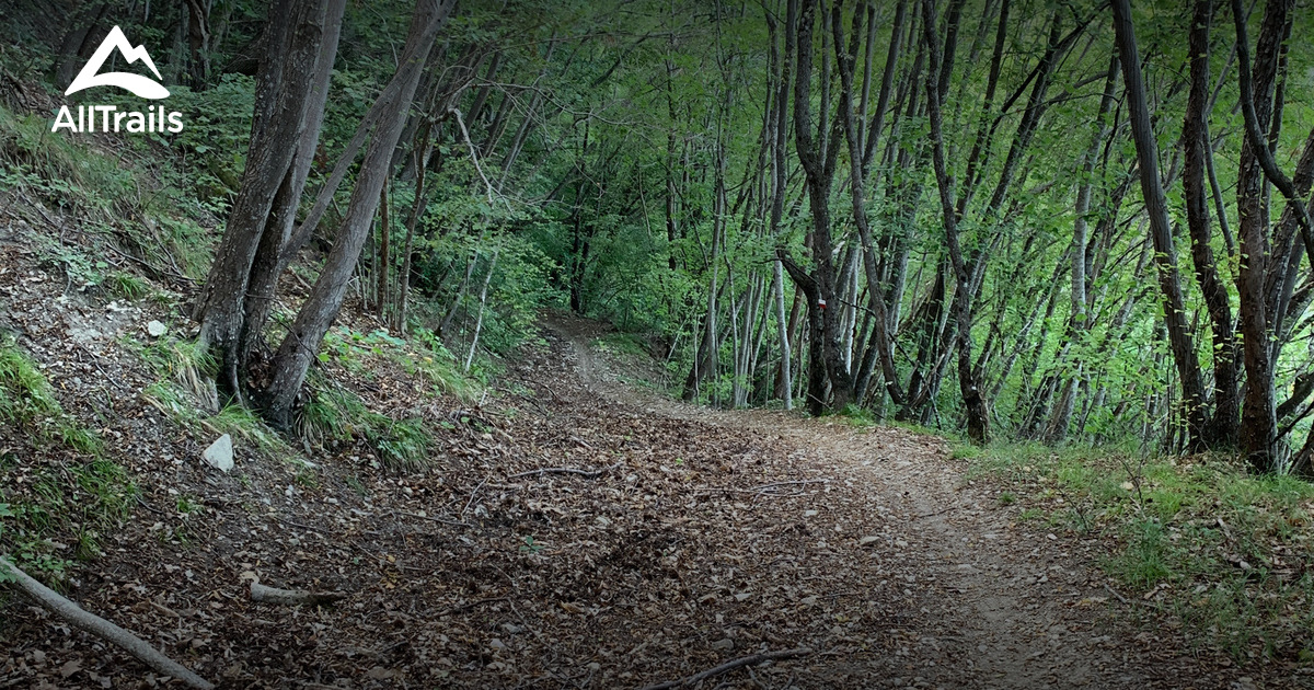 Best bike touring trails in Vergato | AllTrails