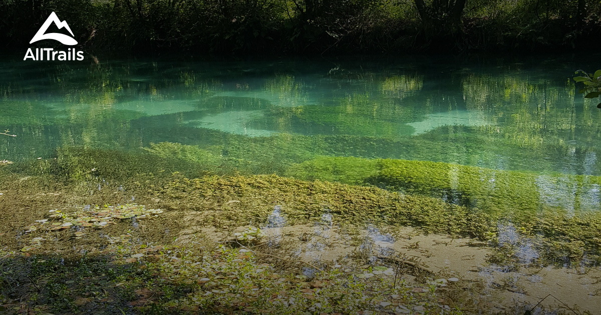 Best hikes and trails in Caneva | AllTrails