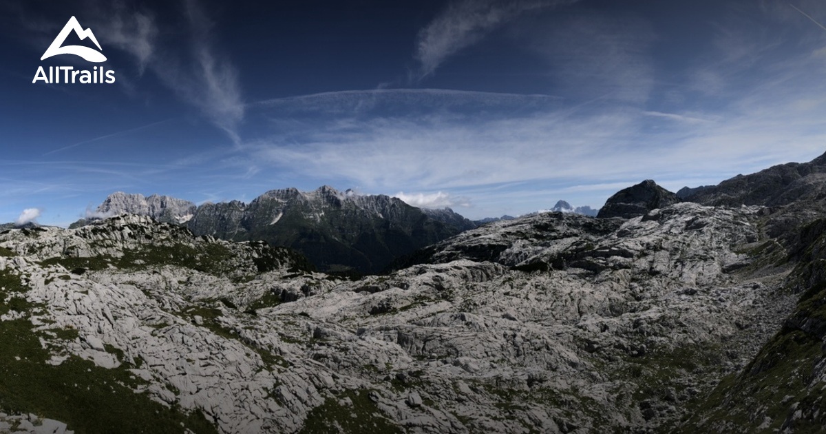 Best forest trails in Chiusaforte | AllTrails