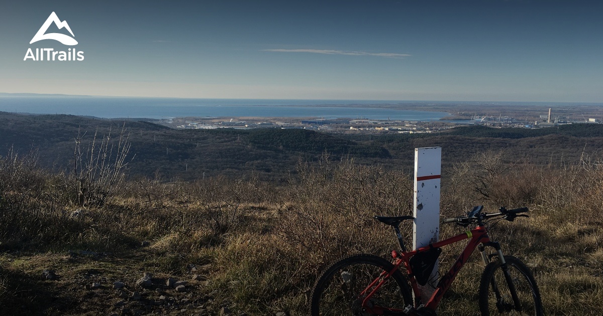 Best hikes and trails in Doberdò del Lago | AllTrails