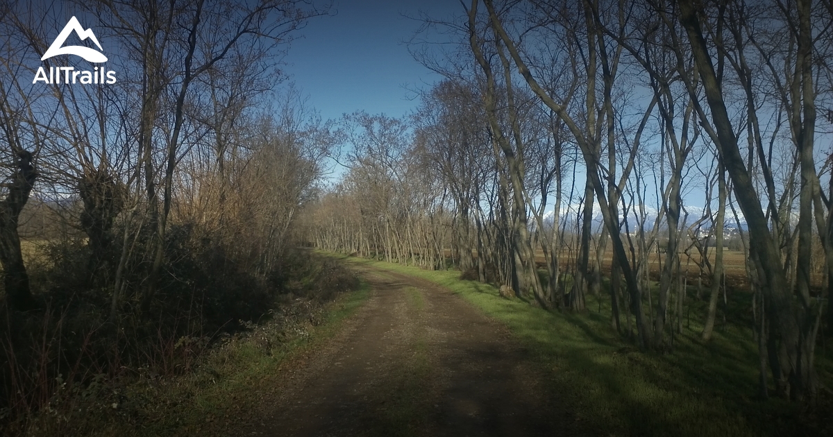 10 Best trails and hikes in Fagagna | AllTrails