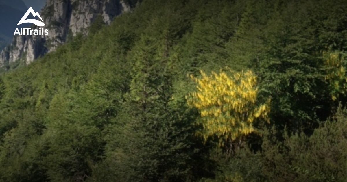 Best River Trails in Moggio Udinese | AllTrails