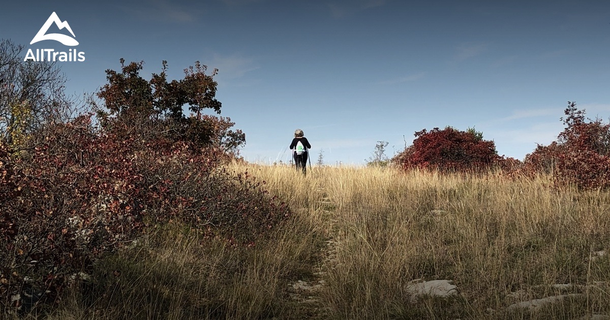 Best long trails in Ronchi dei Legionari | AllTrails