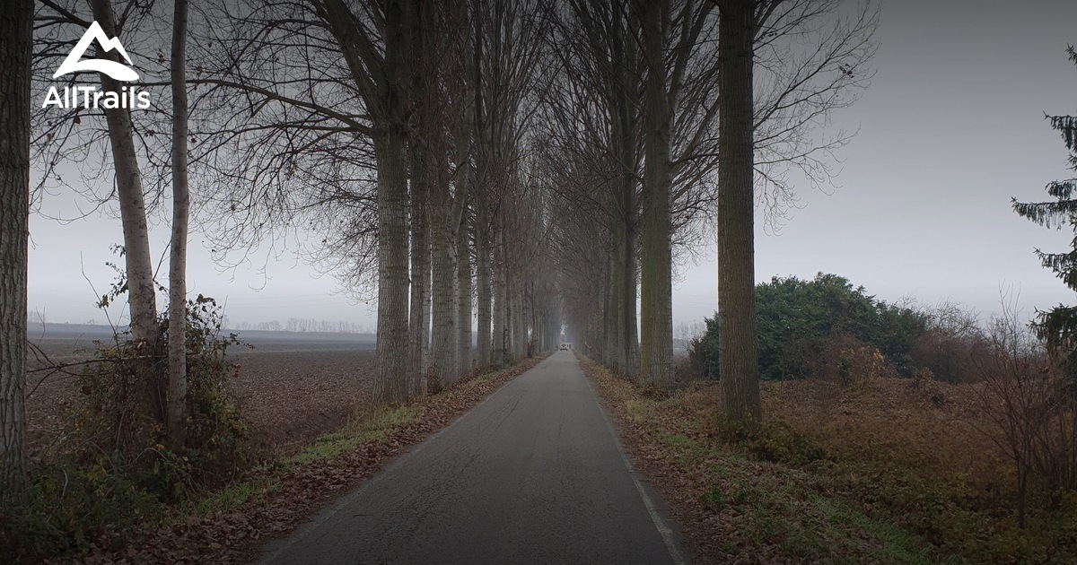 Best hikes and trails in Torviscosa | AllTrails