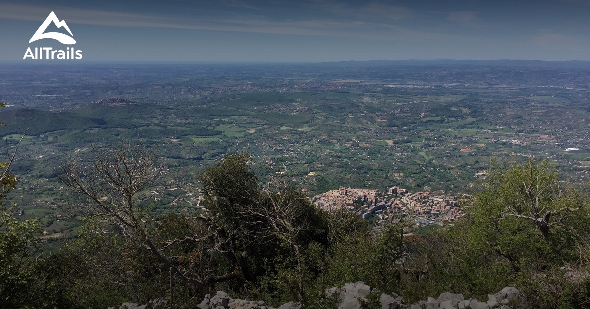 Best forest trails in Palombara Sabina | AllTrails