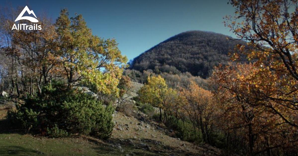 Best historic site trails in Scandriglia | AllTrails