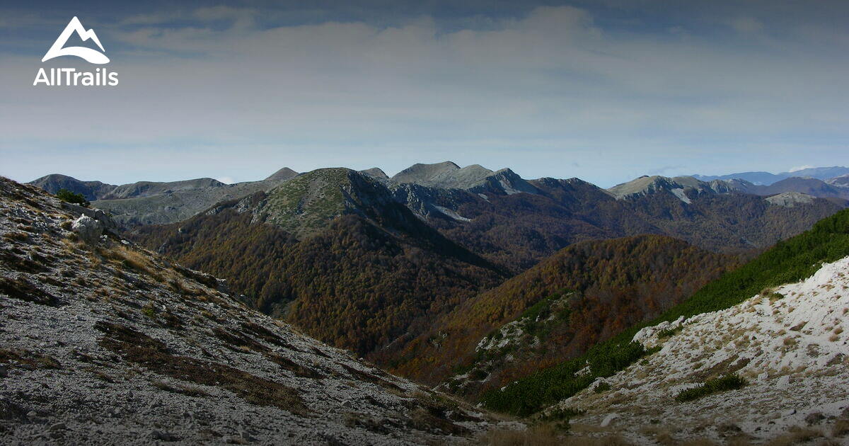 Best forest trails in Settefrati | AllTrails