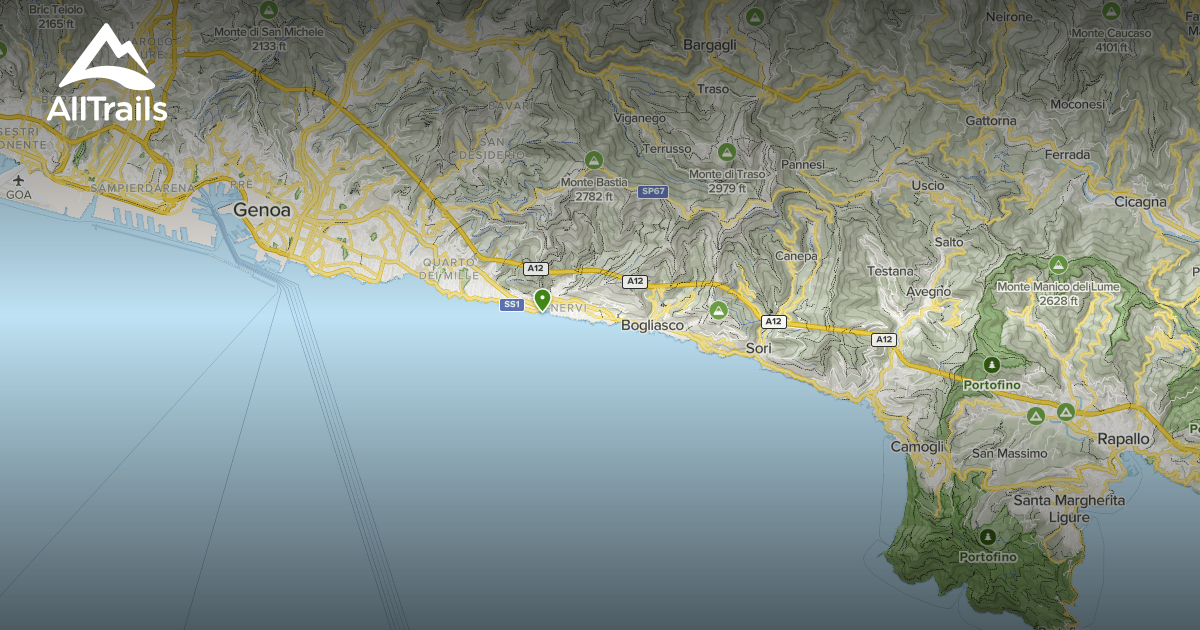 Best wildflower trails in Bogliasco | AllTrails