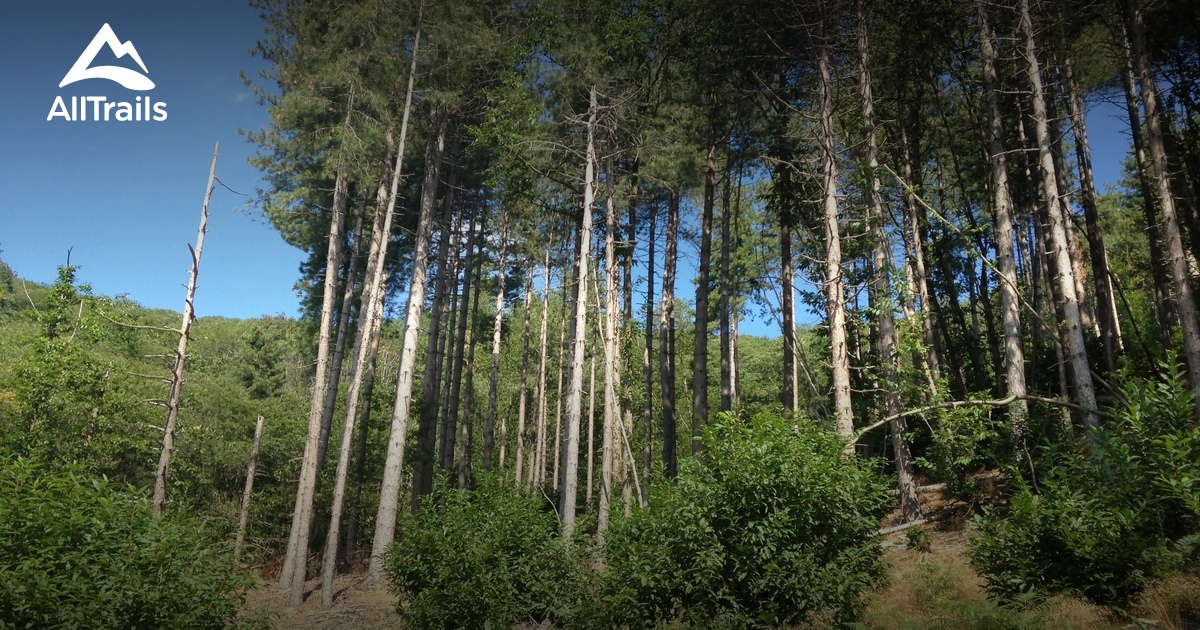 Best hikes and trails in Rialto | AllTrails