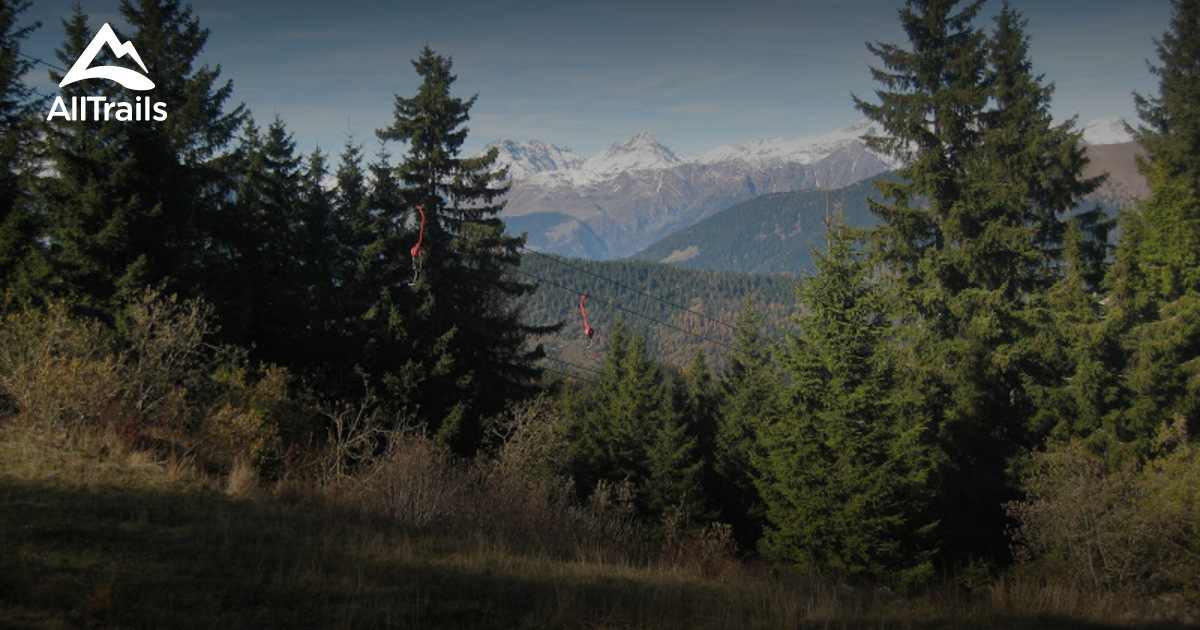 Best dog-friendly trails in Borno | AllTrails