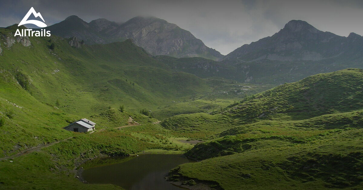 2023 Best Wild Flowers Trails in Breno | AllTrails