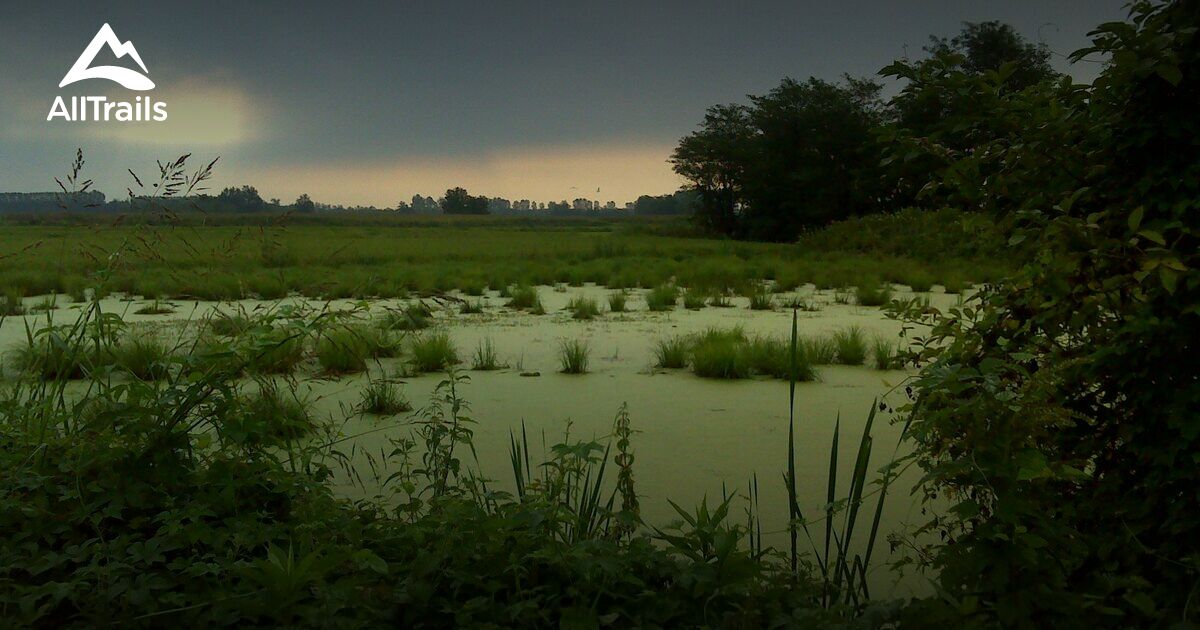 Best River Trails in Mortara | AllTrails