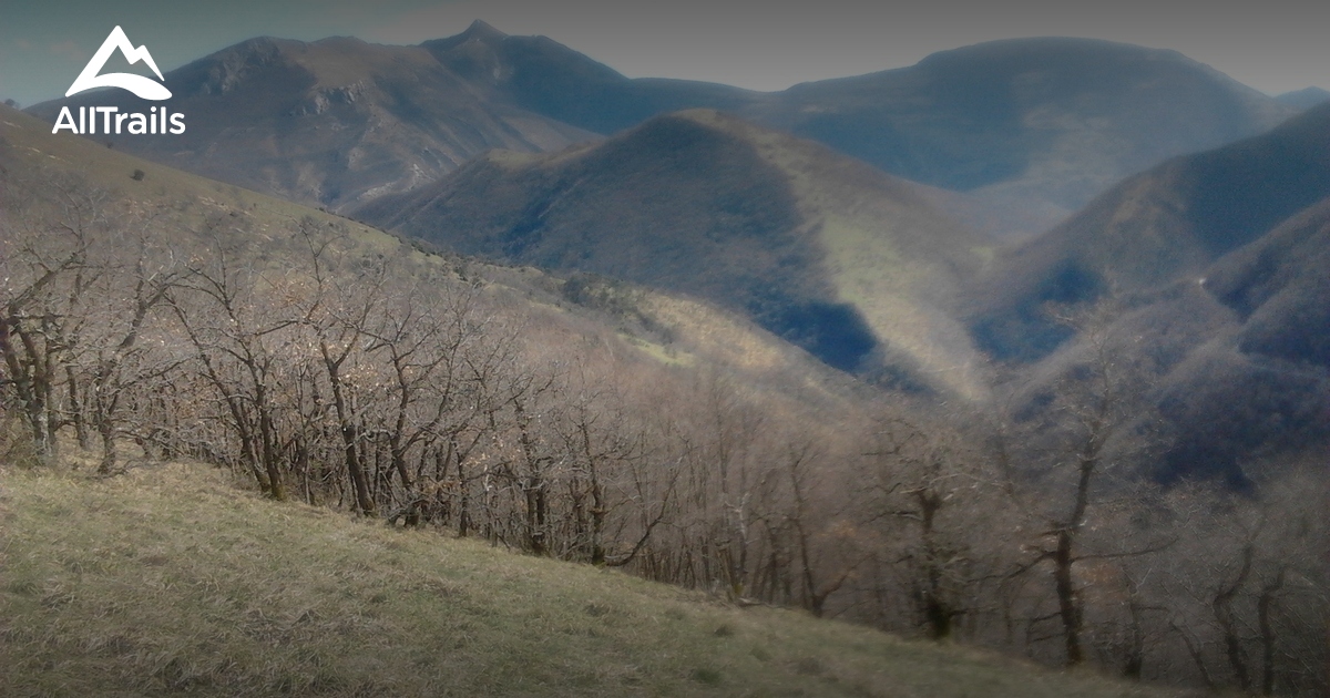 Best wildflower trails in Frontone | AllTrails