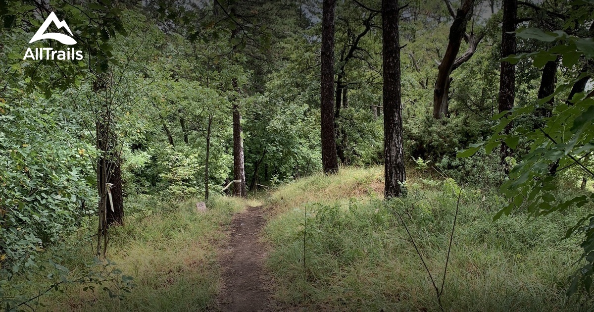 Best hikes and trails in Montefalcone Appennino | AllTrails