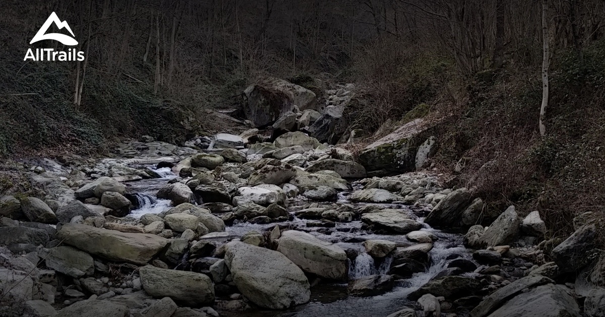 Best forest trails in Barge | AllTrails