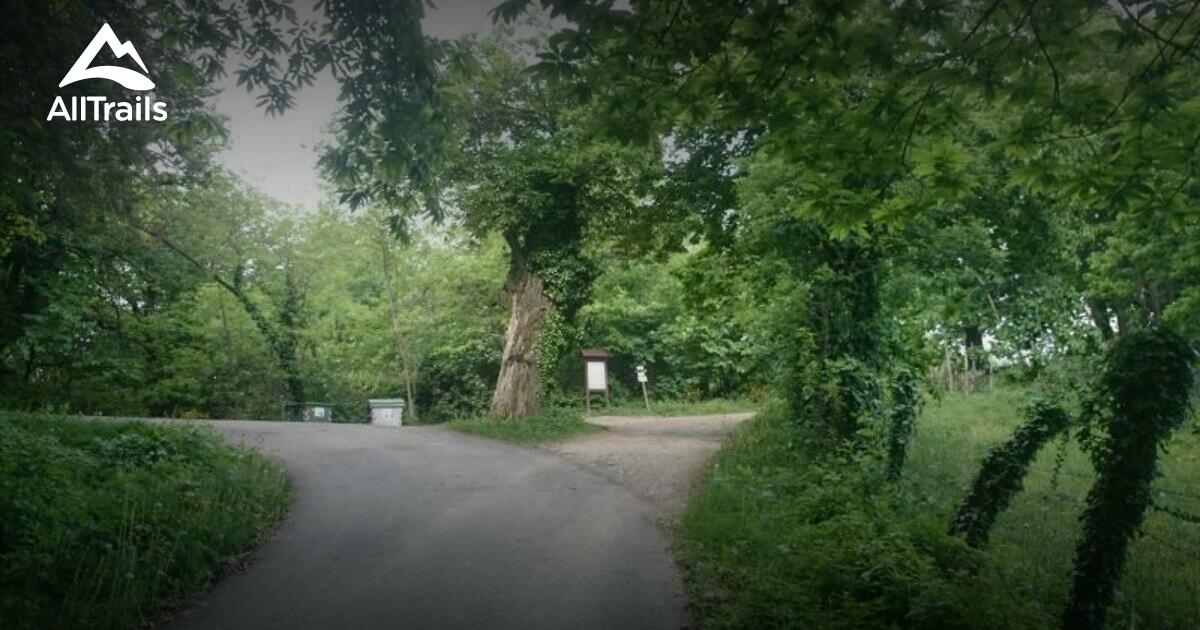 Best hikes and trails in Busca | AllTrails