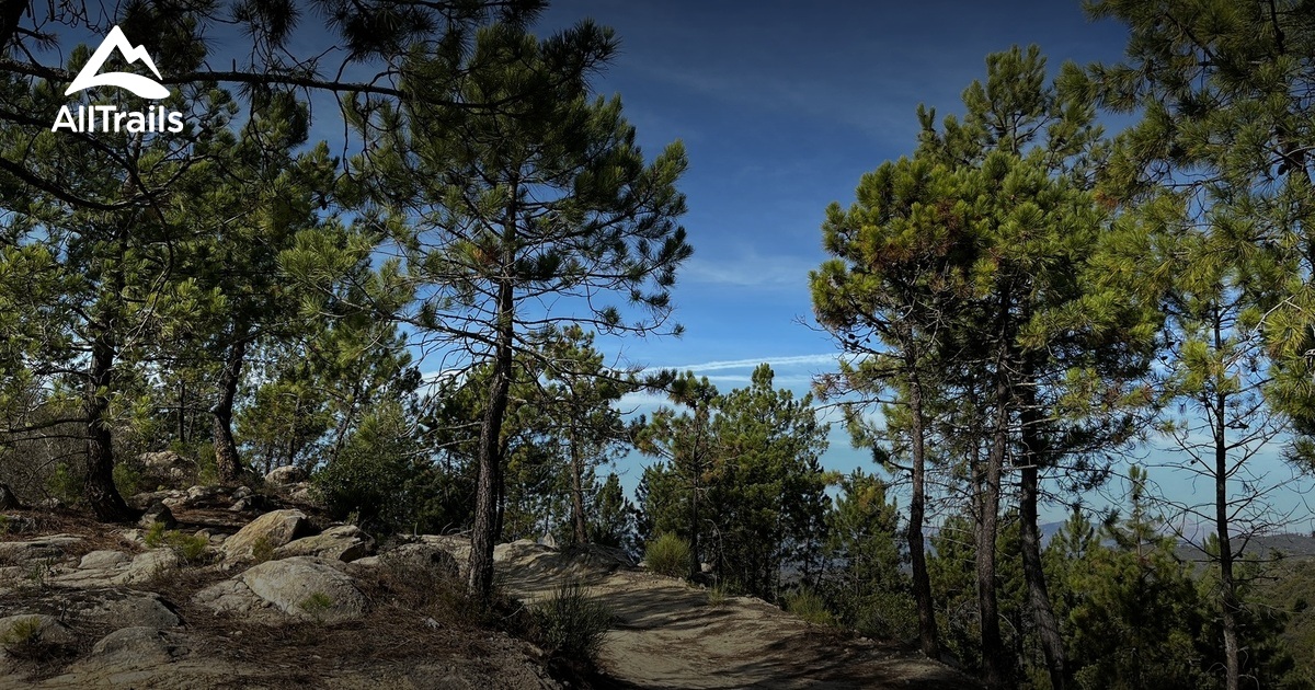 Best hikes and trails in Seborga | AllTrails