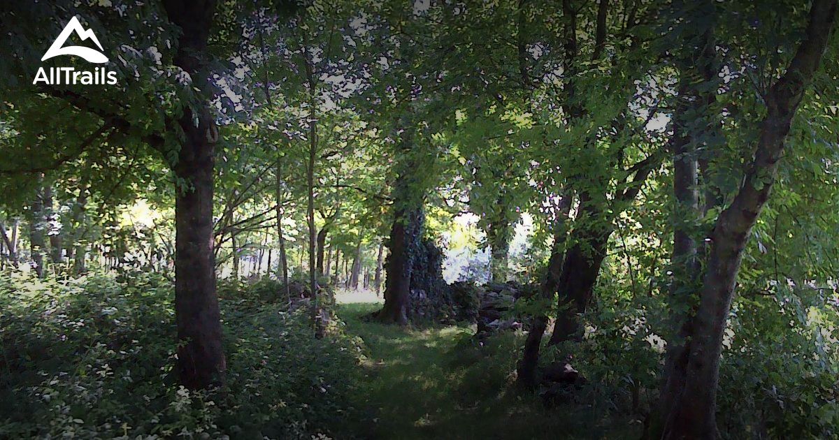 Best hikes and trails in Viverone | AllTrails