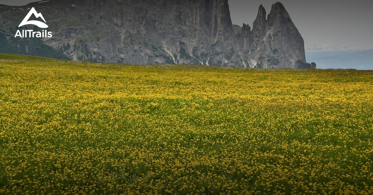 I 10 migliori sentieri ed escursioni in Castelrotto | Kastelruth ...
