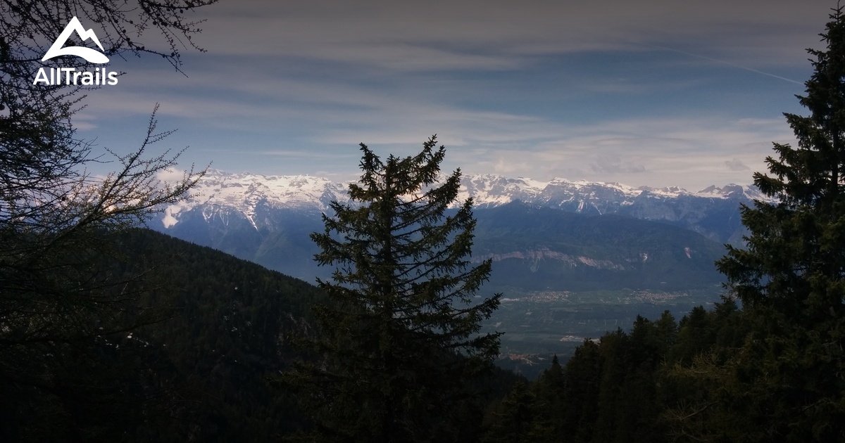 Best hikes and trails in Magrè sulla Strada del Vino | AllTrails