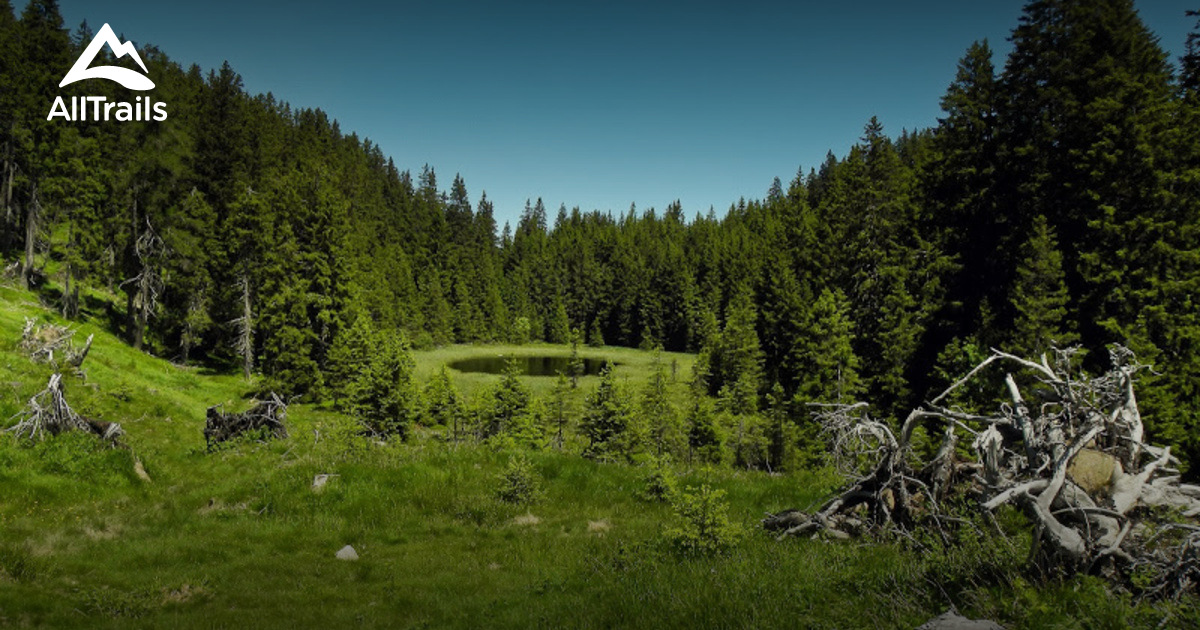 Best hikes and trails in Altavalle | AllTrails