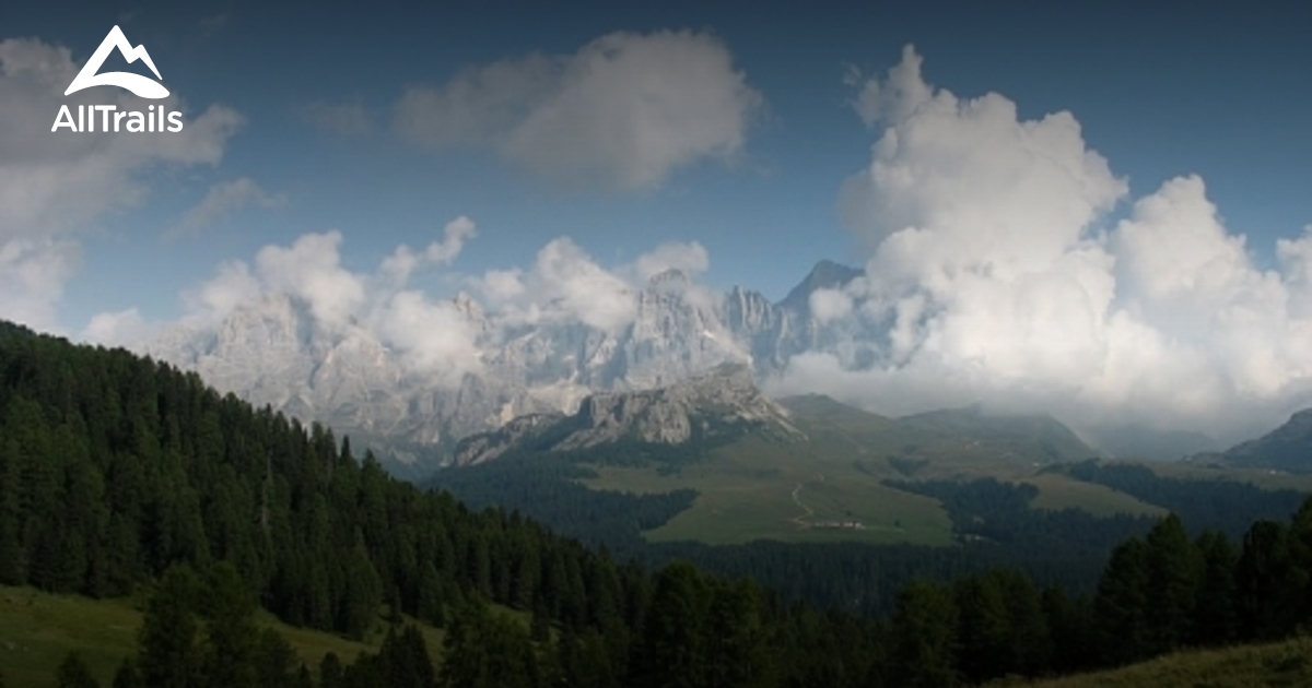 Best partially-paved trails in Bellamonte | AllTrails