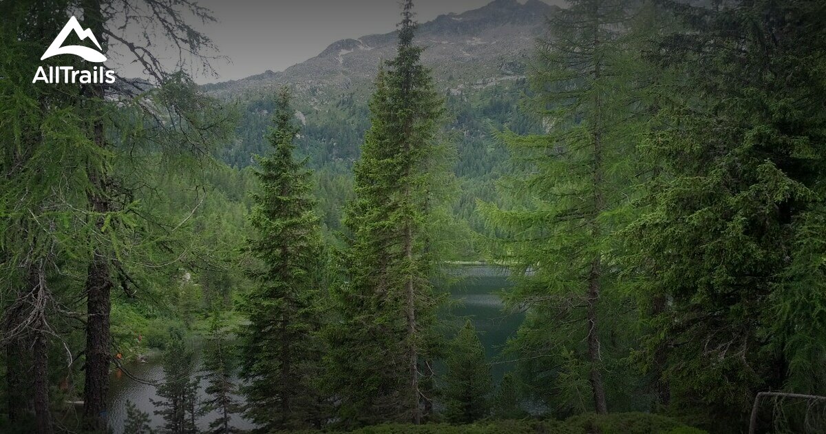 Best backpacking trails in Dimaro | AllTrails