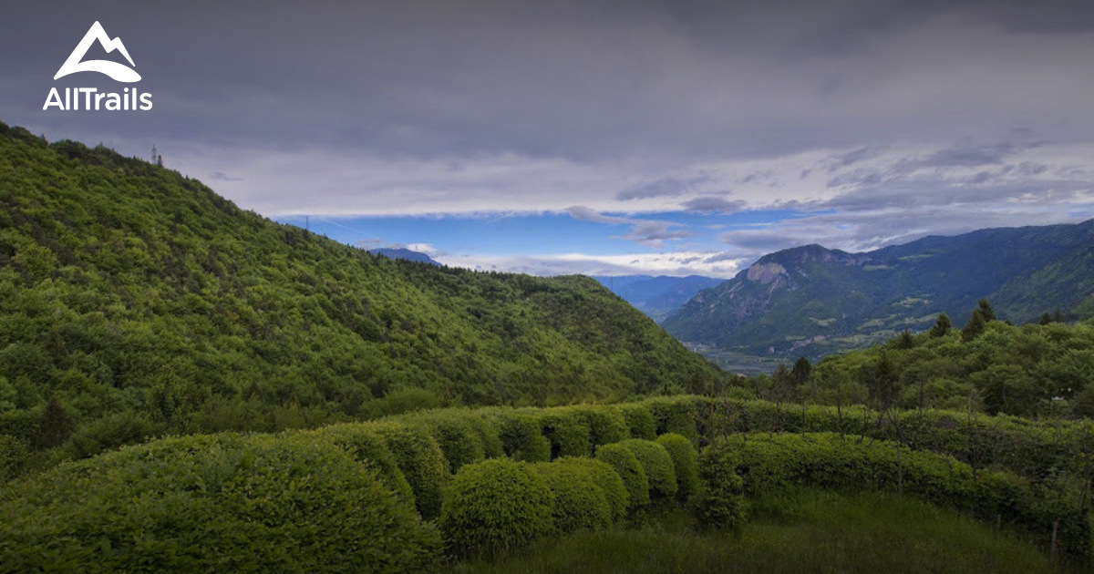 Best hikes and trails in Faedo | AllTrails