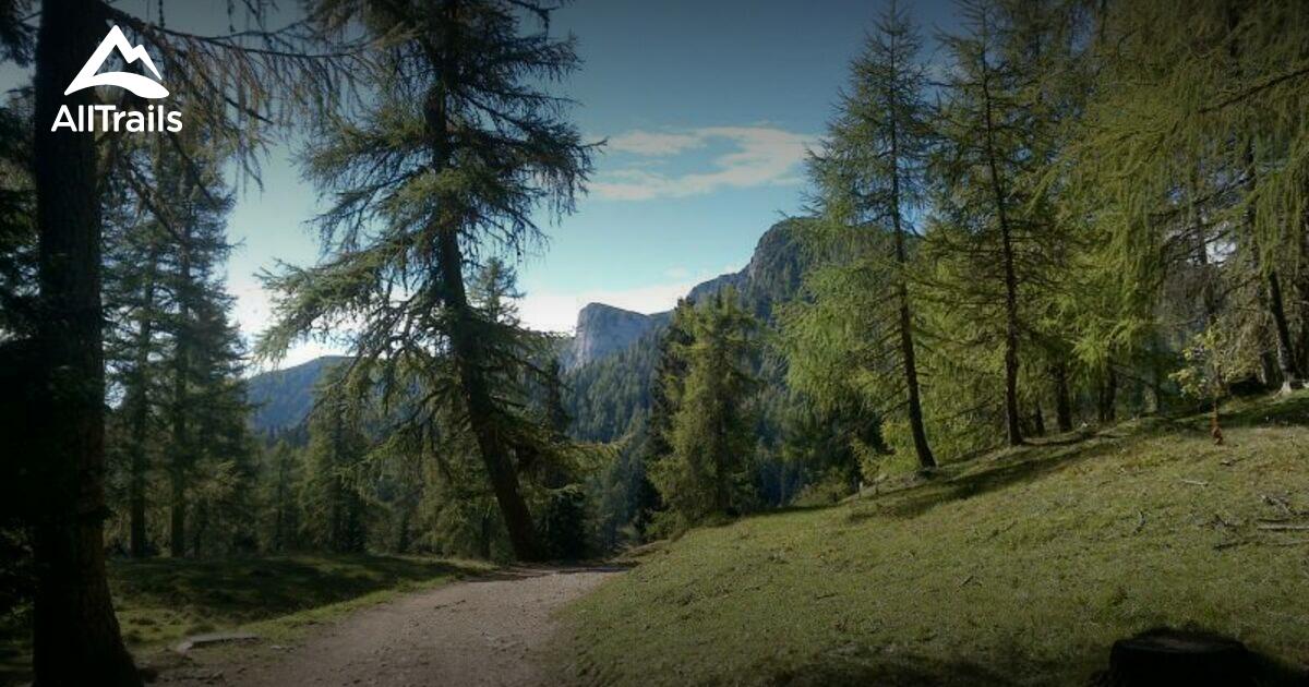Best hikes and trails in Fondo | AllTrails