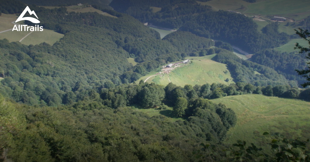 10 Best trails and hikes in Mori | AllTrails