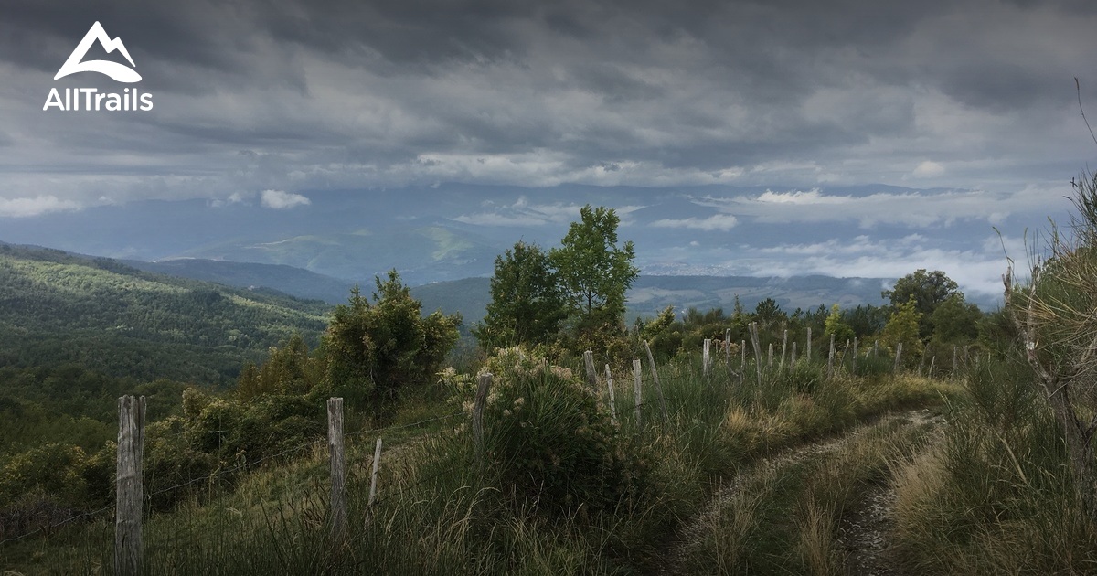 Best hikes and trails in Bibbiena | AllTrails