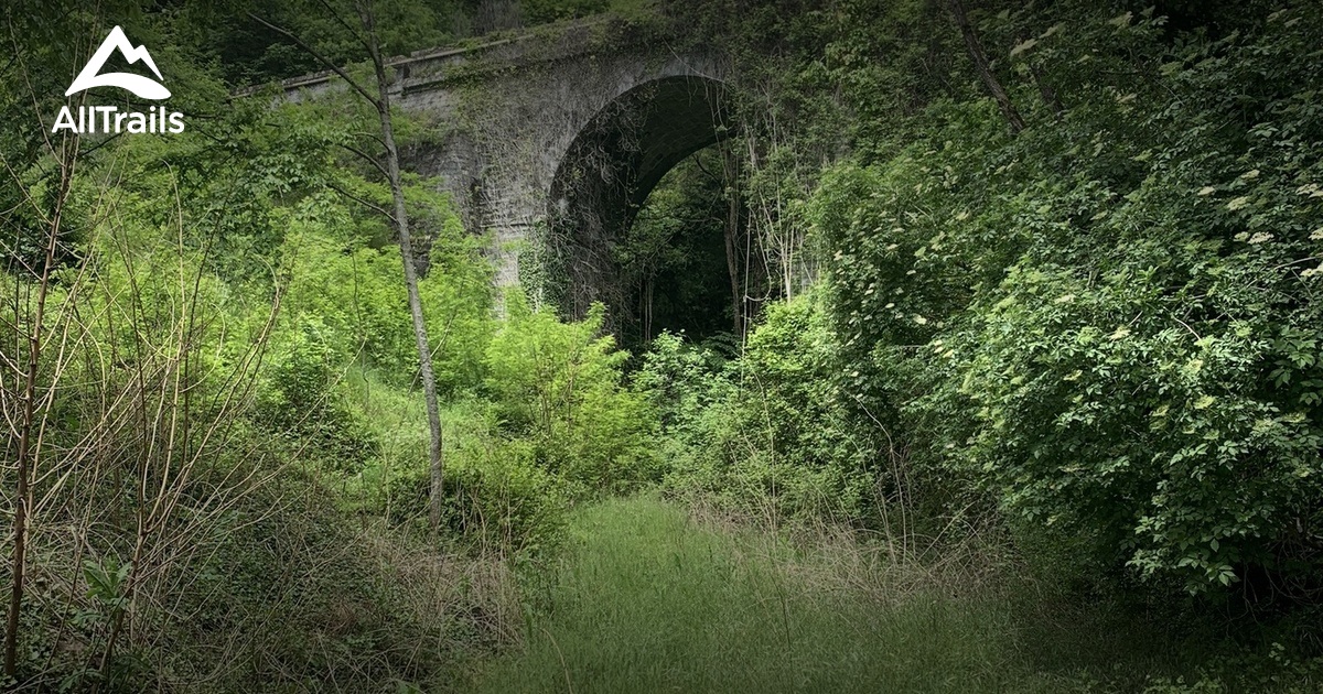 De beste backpackroutes in Borgo San Lorenzo | AllTrails