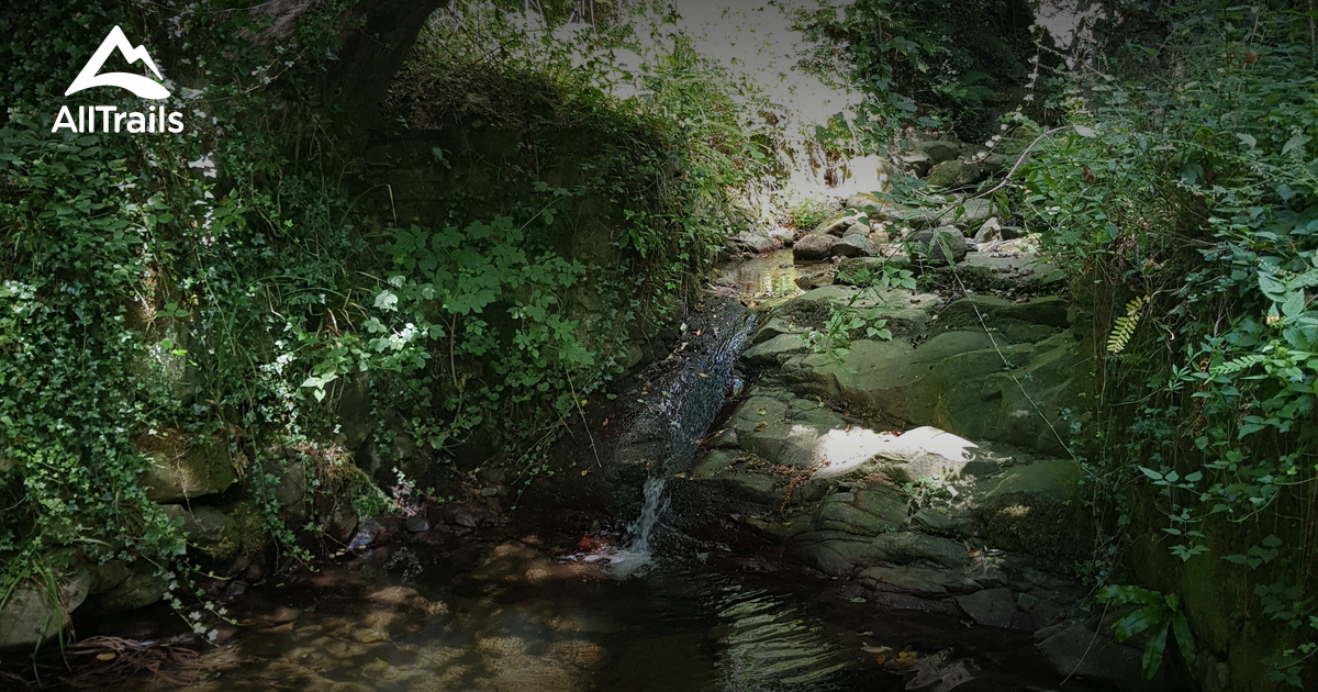 Best hikes and trails in Buggiano | AllTrails