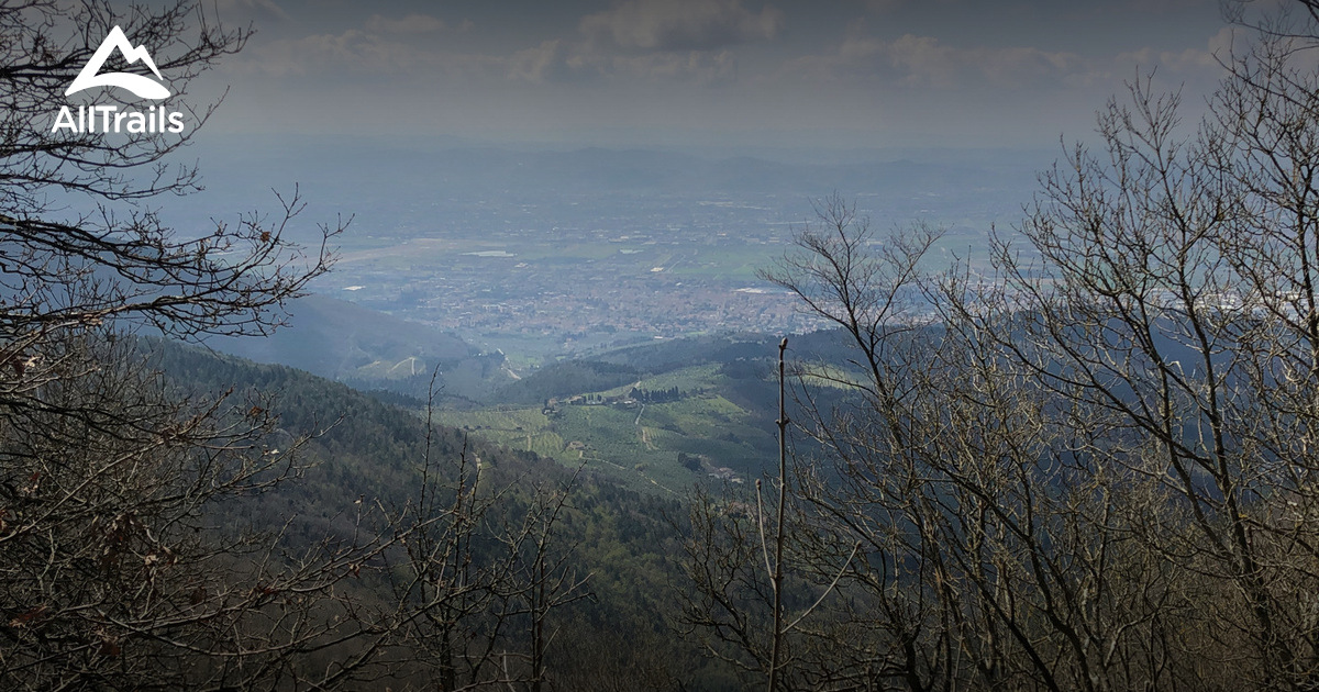 Best forest trails in Calenzano | AllTrails