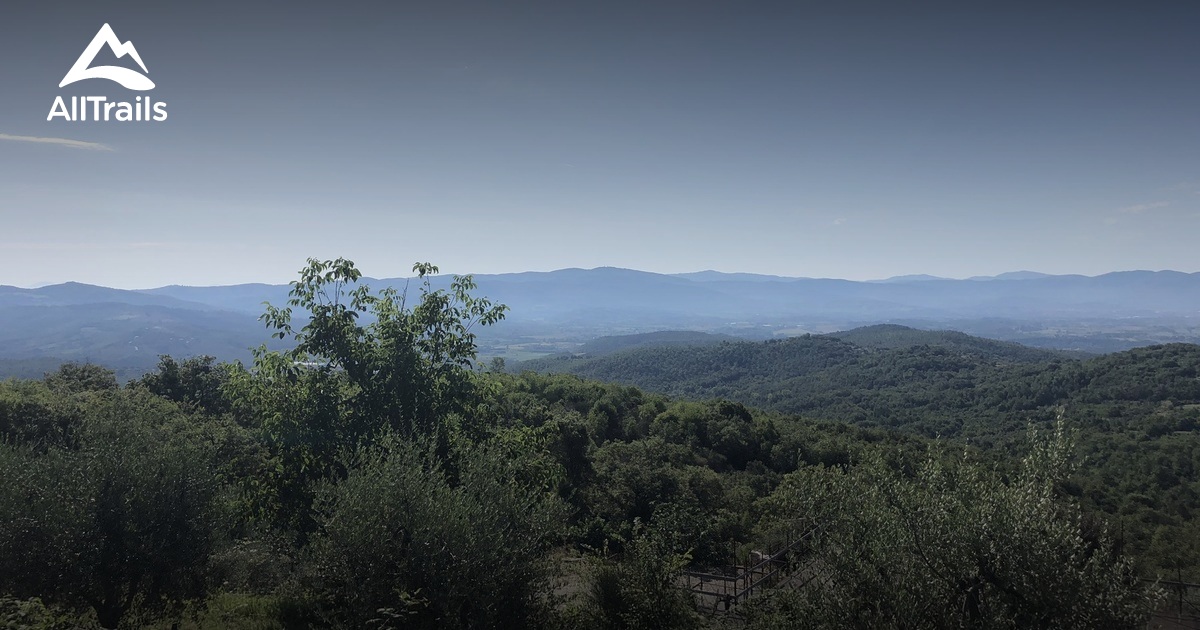 Best forest trails in Capolona | AllTrails