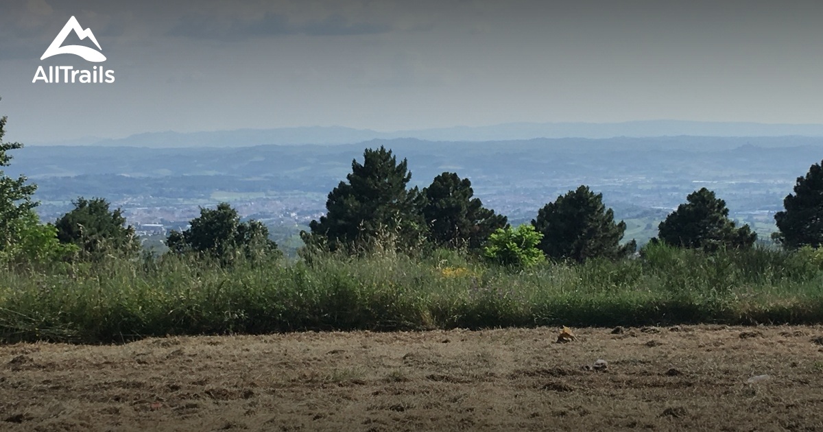 Best forest trails in Capraia e Limite | AllTrails
