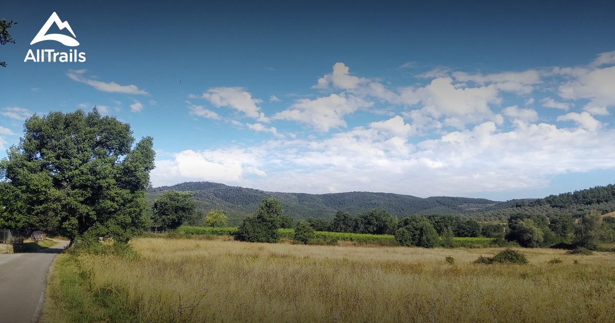 Best hikes and trails in Civitella in Val di Chiana | AllTrails