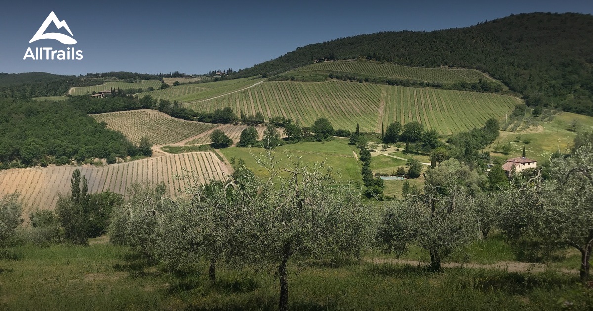 Best walking trails in Gaiole In Chianti | AllTrails