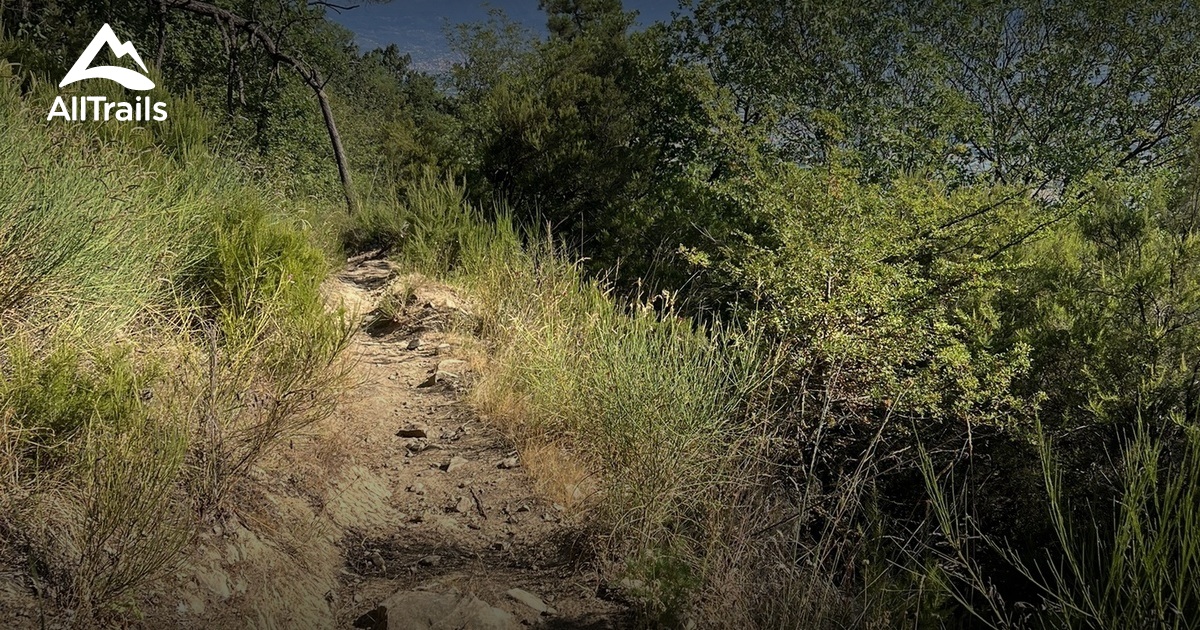 Best hikes and trails in Lamporecchio | AllTrails