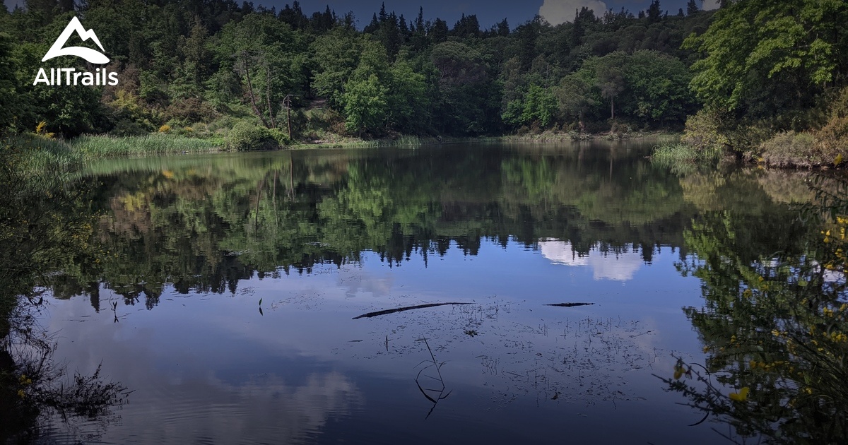 Best hikes and trails in Lastra a Signa | AllTrails