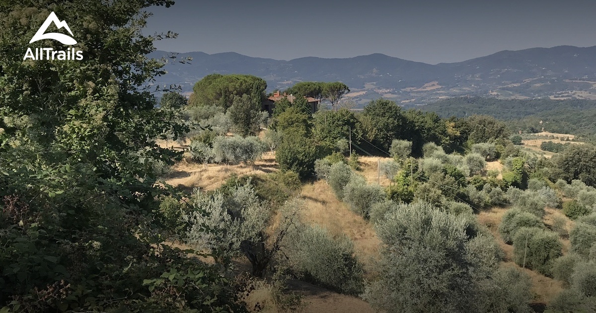 Best hikes and trails in Leccio | AllTrails