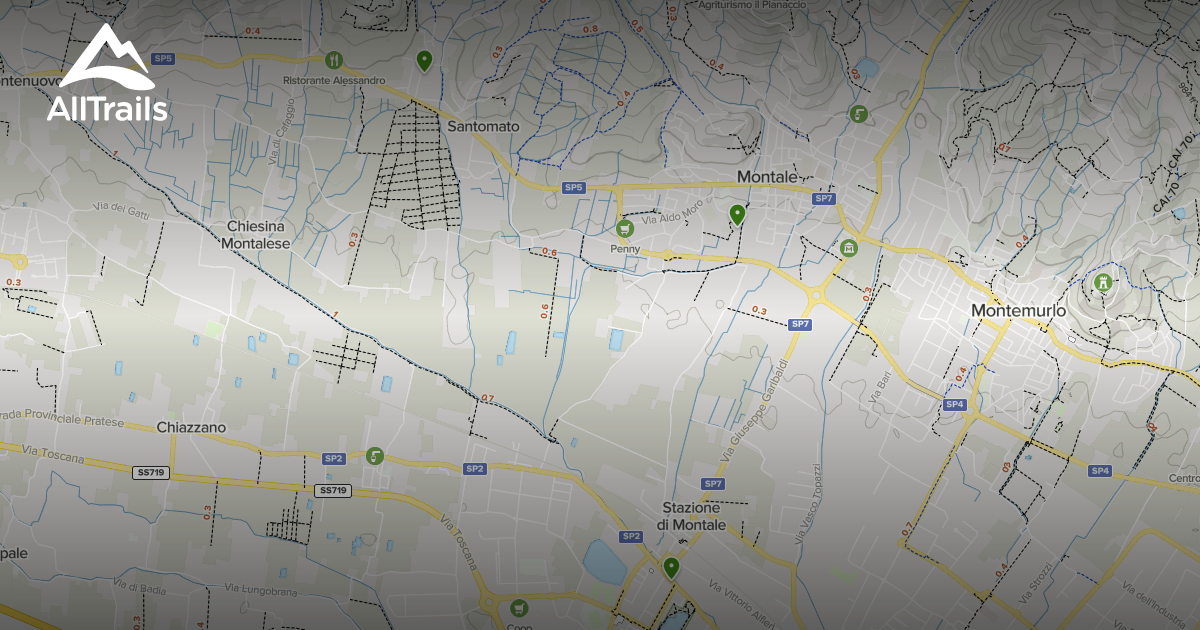 Best forest trails in Montale | AllTrails